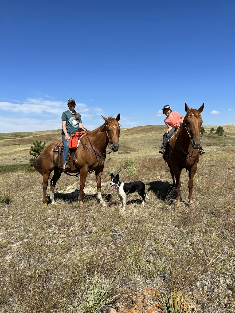 About — Sandhill Red Angus