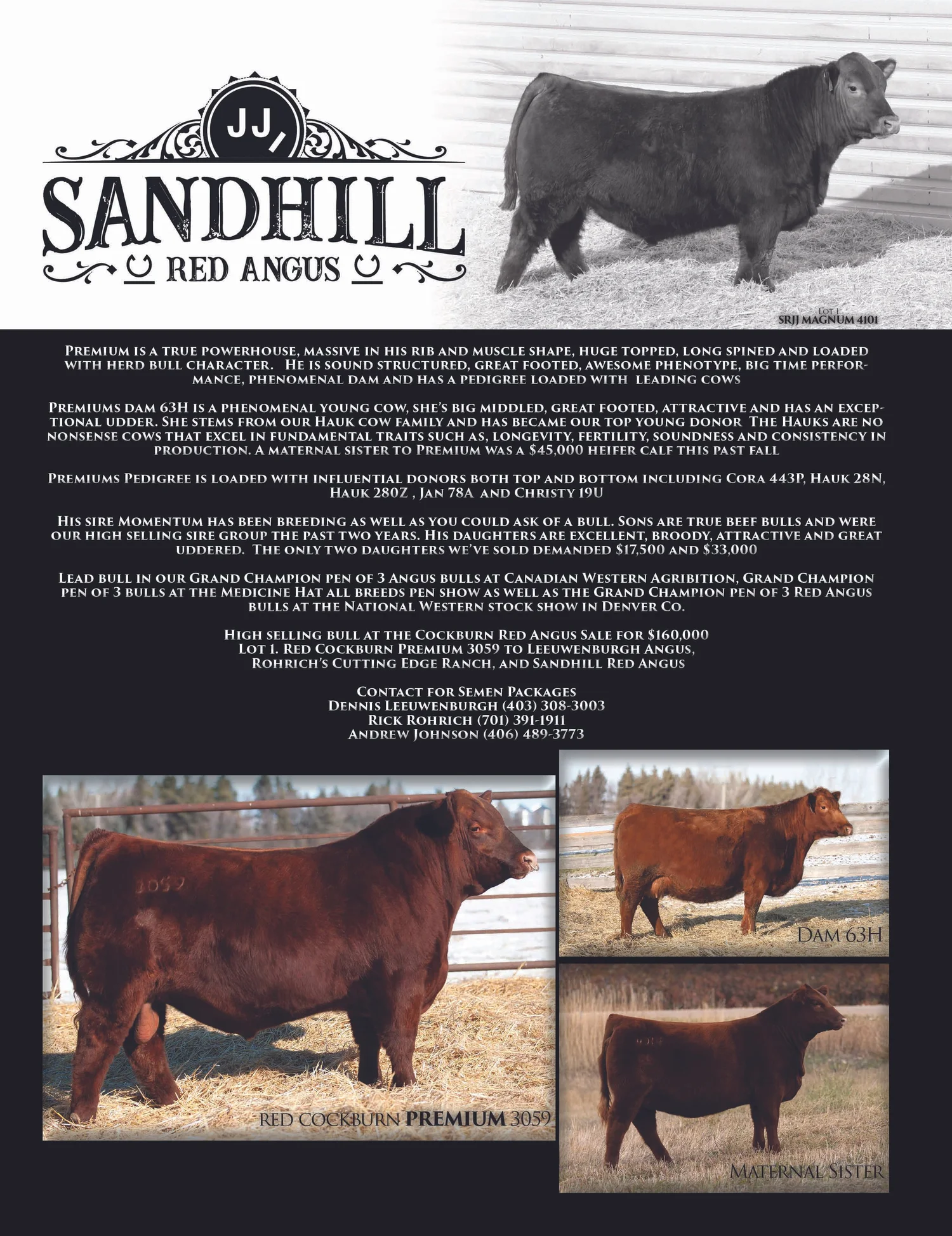 Sandhill Red Angus