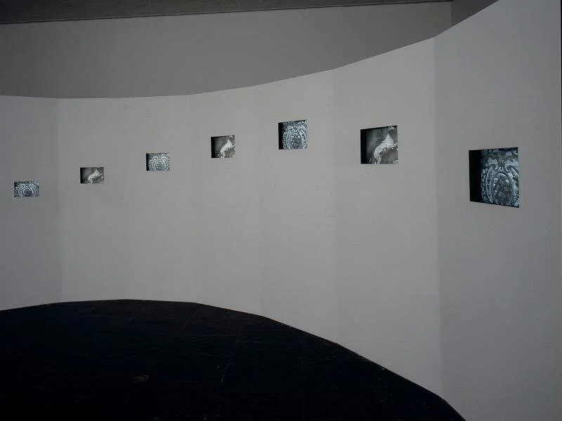 Installations — Mary Lucier