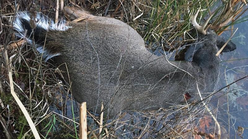 Installations — Mary Lucier