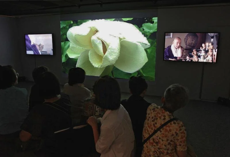 Installations — Mary Lucier