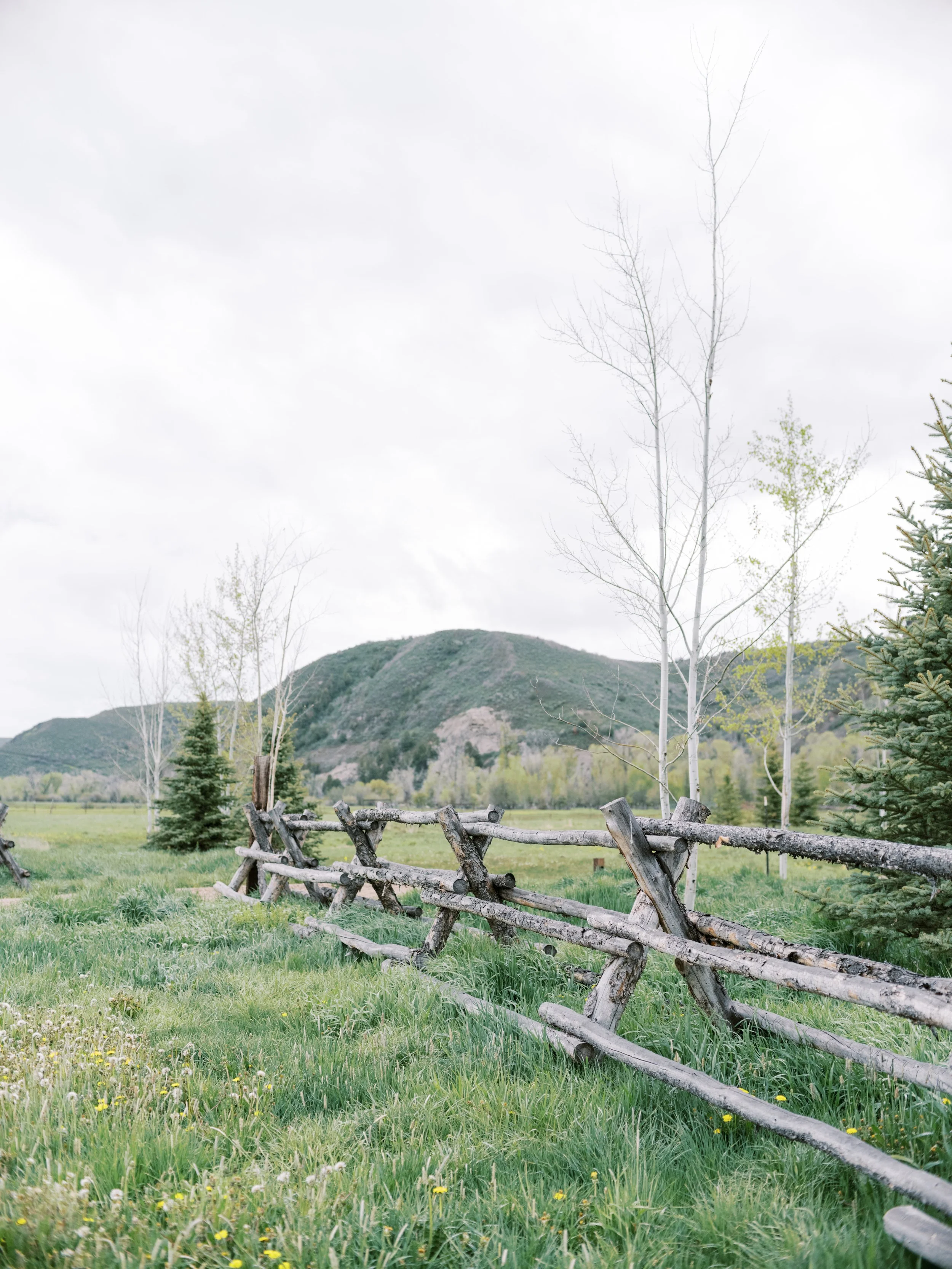 Anna and Nick — Luxury Michigan Weddings | Ann Travis Events