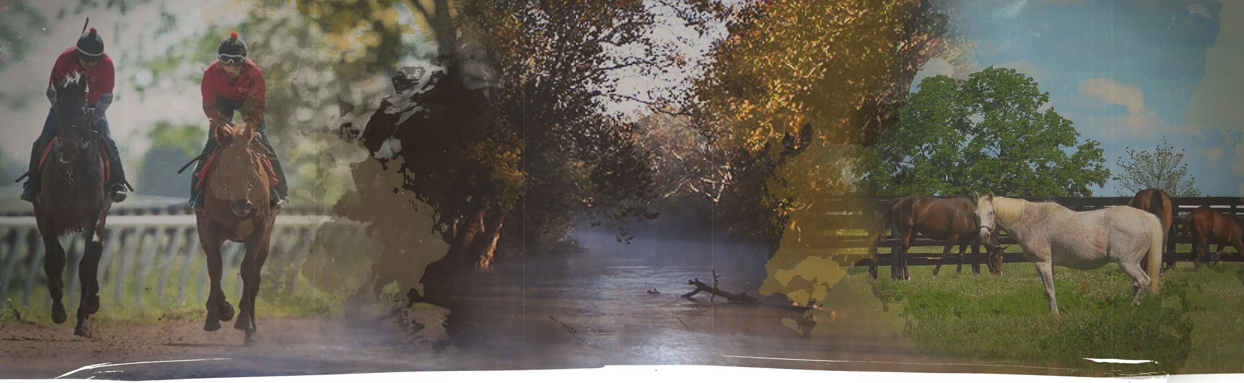 Farm — Margaux Farm