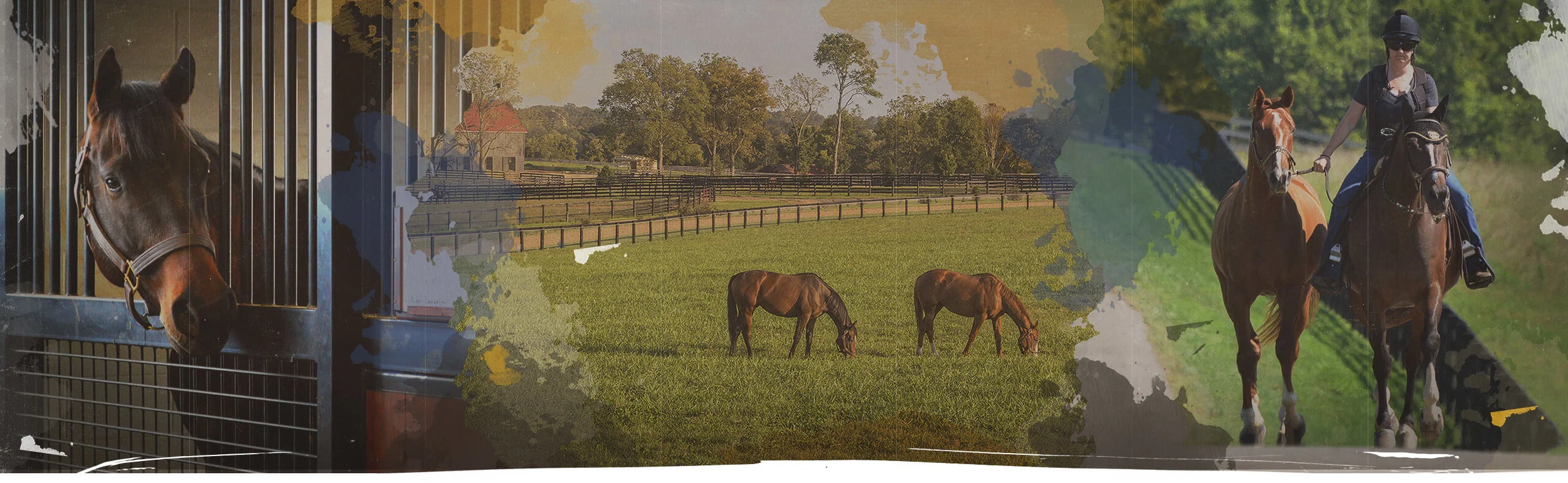 Rehab — Margaux Farm