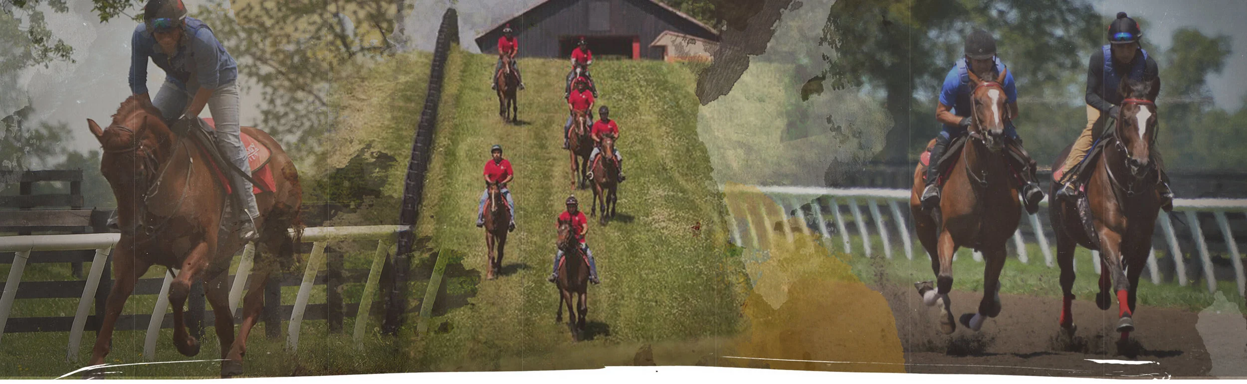 Training — Margaux Farm