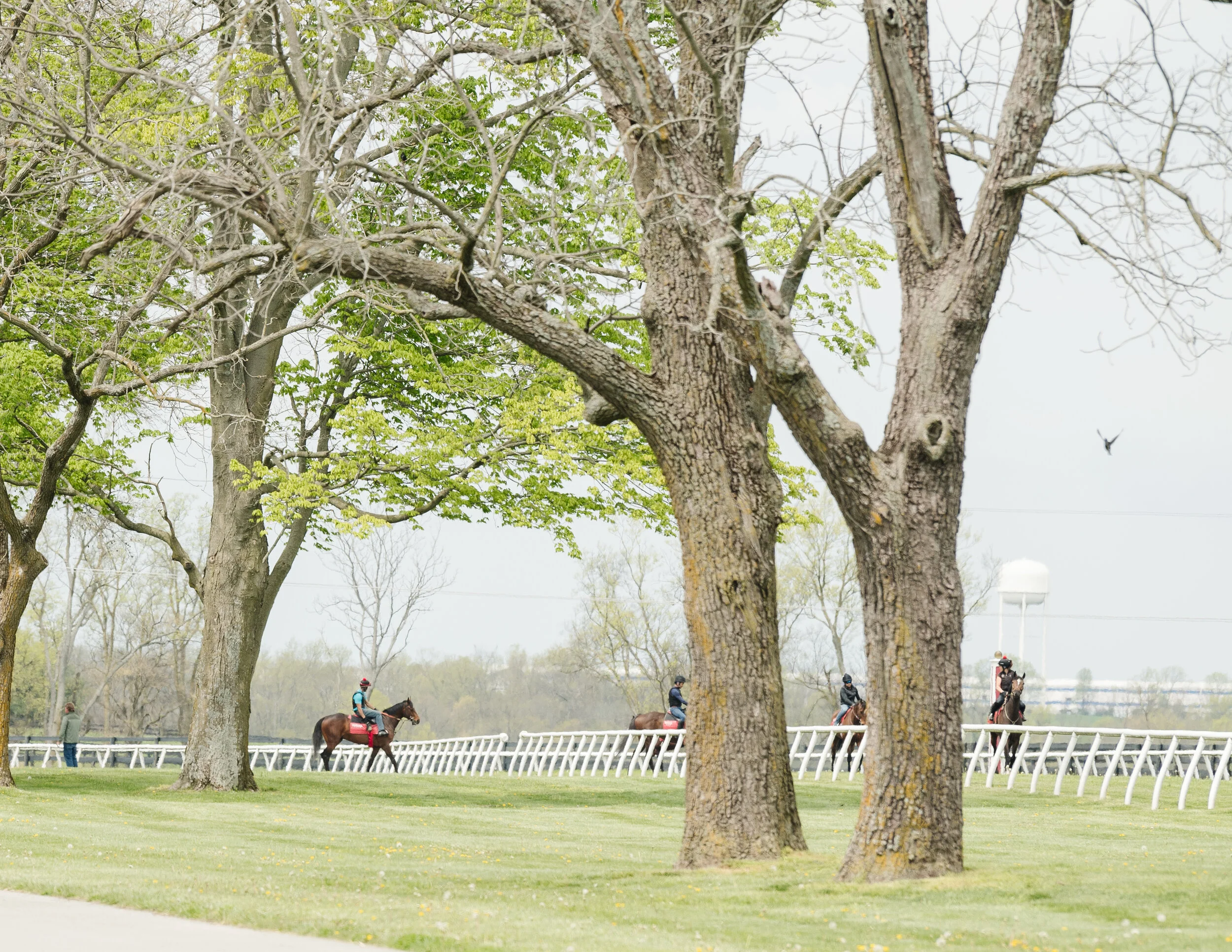 Training — Margaux Farm