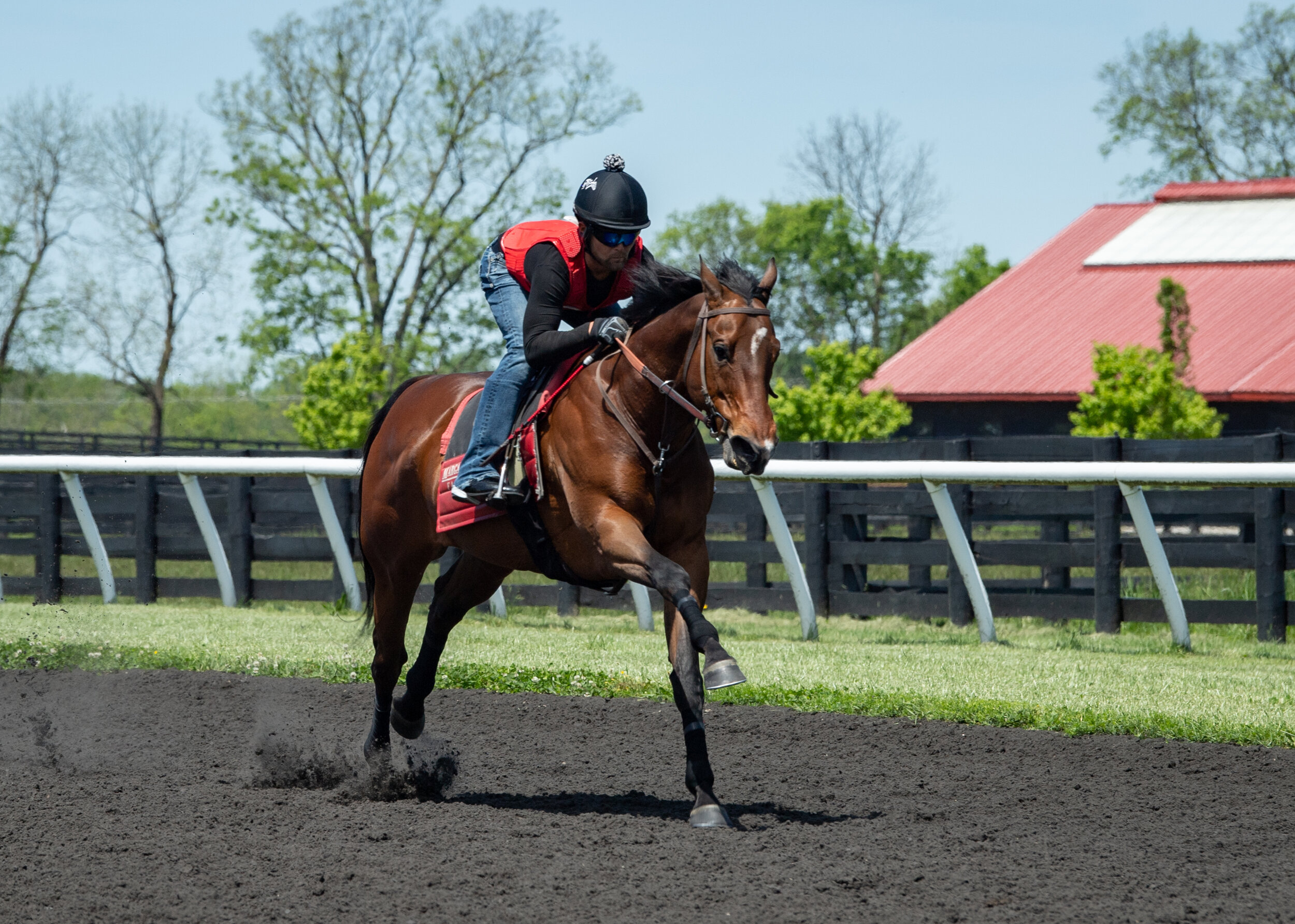 Training — Margaux Farm