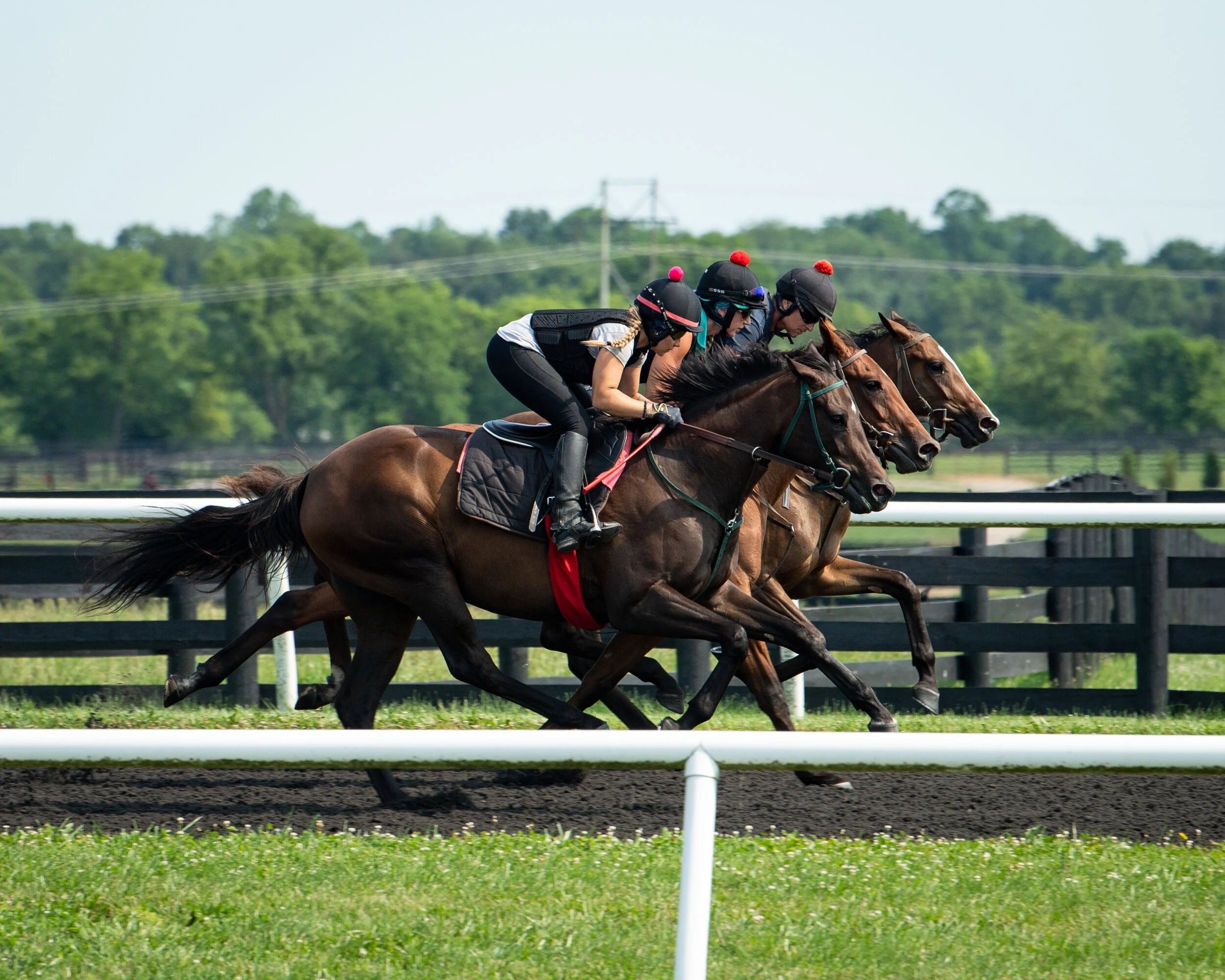 Training — Margaux Farm
