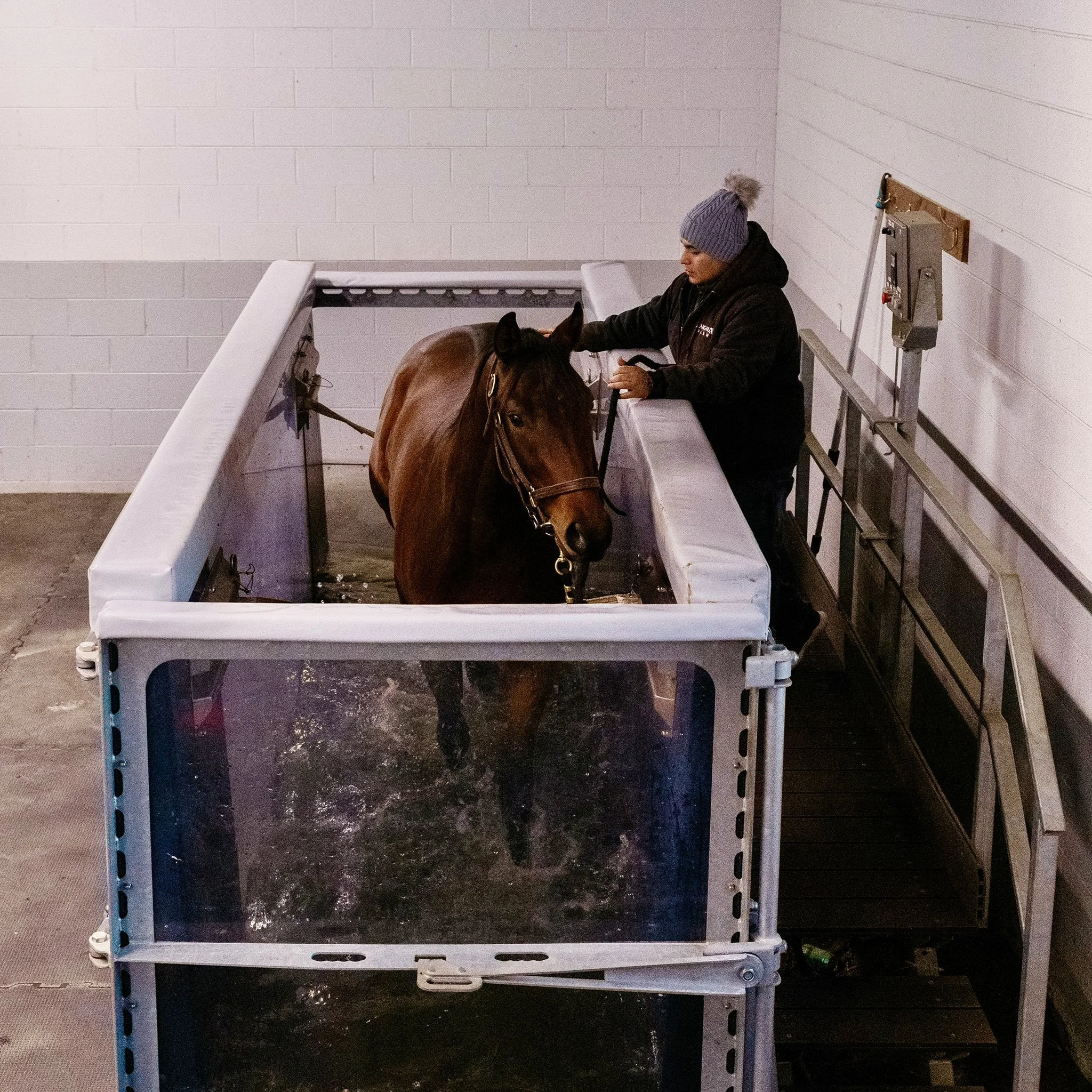 Rehab — Margaux Farm