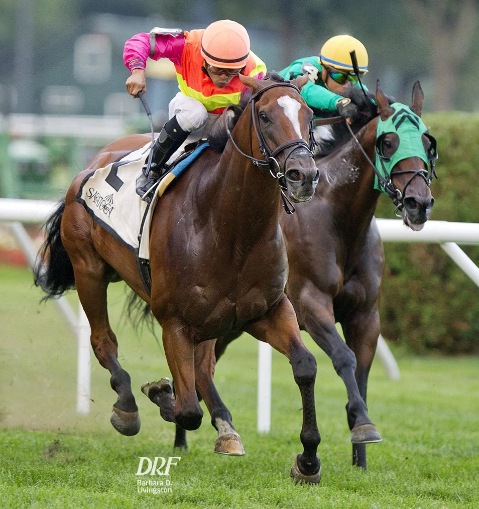 Grads — Margaux Farm