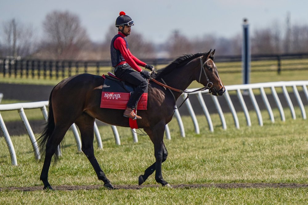 Moira sets track record in Queen's Plate at Woodbine — Margaux Farm