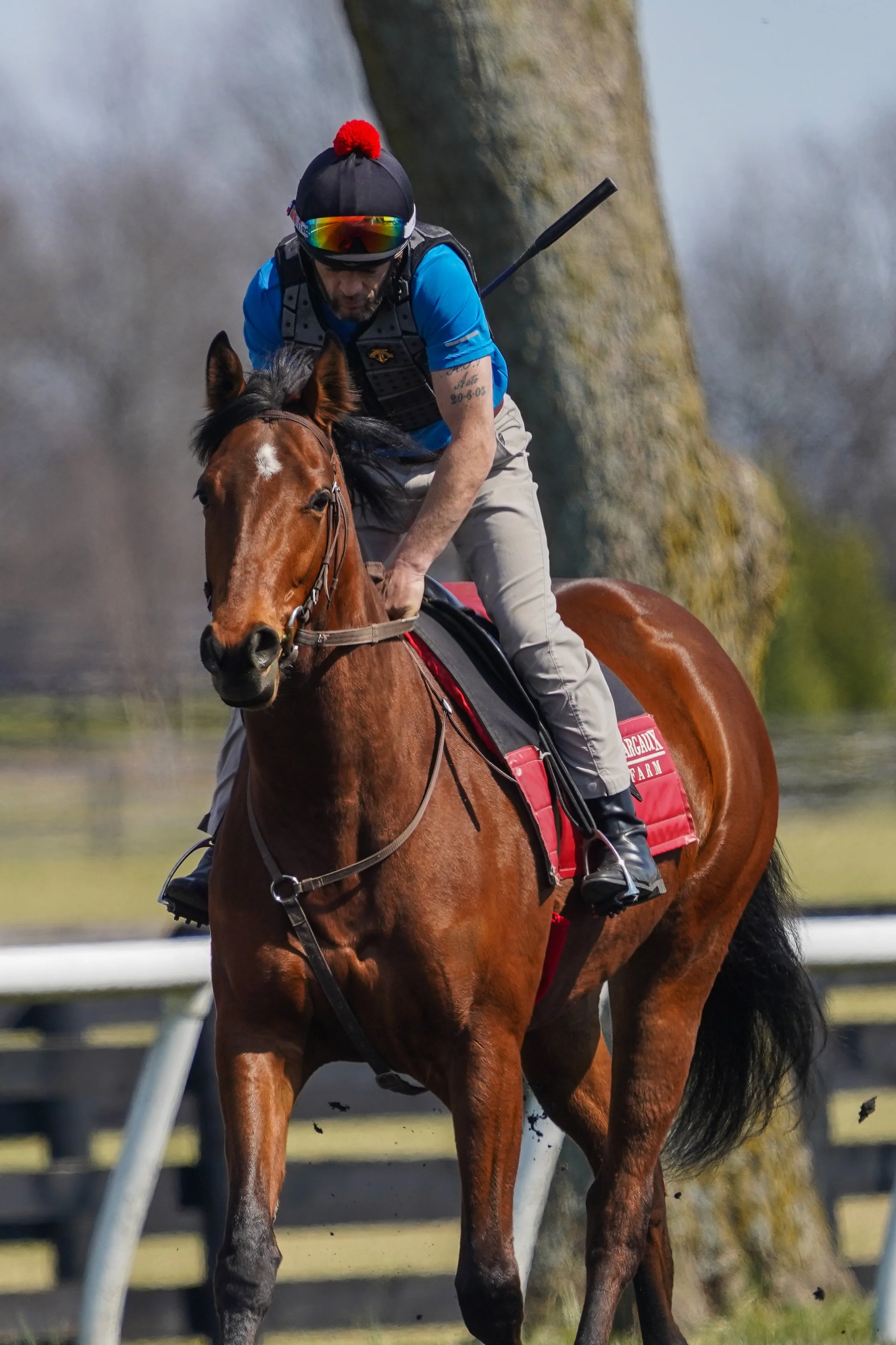 Strega goes wire-to-wire to take the Ashbridges Bay Stakes — Margaux Farm