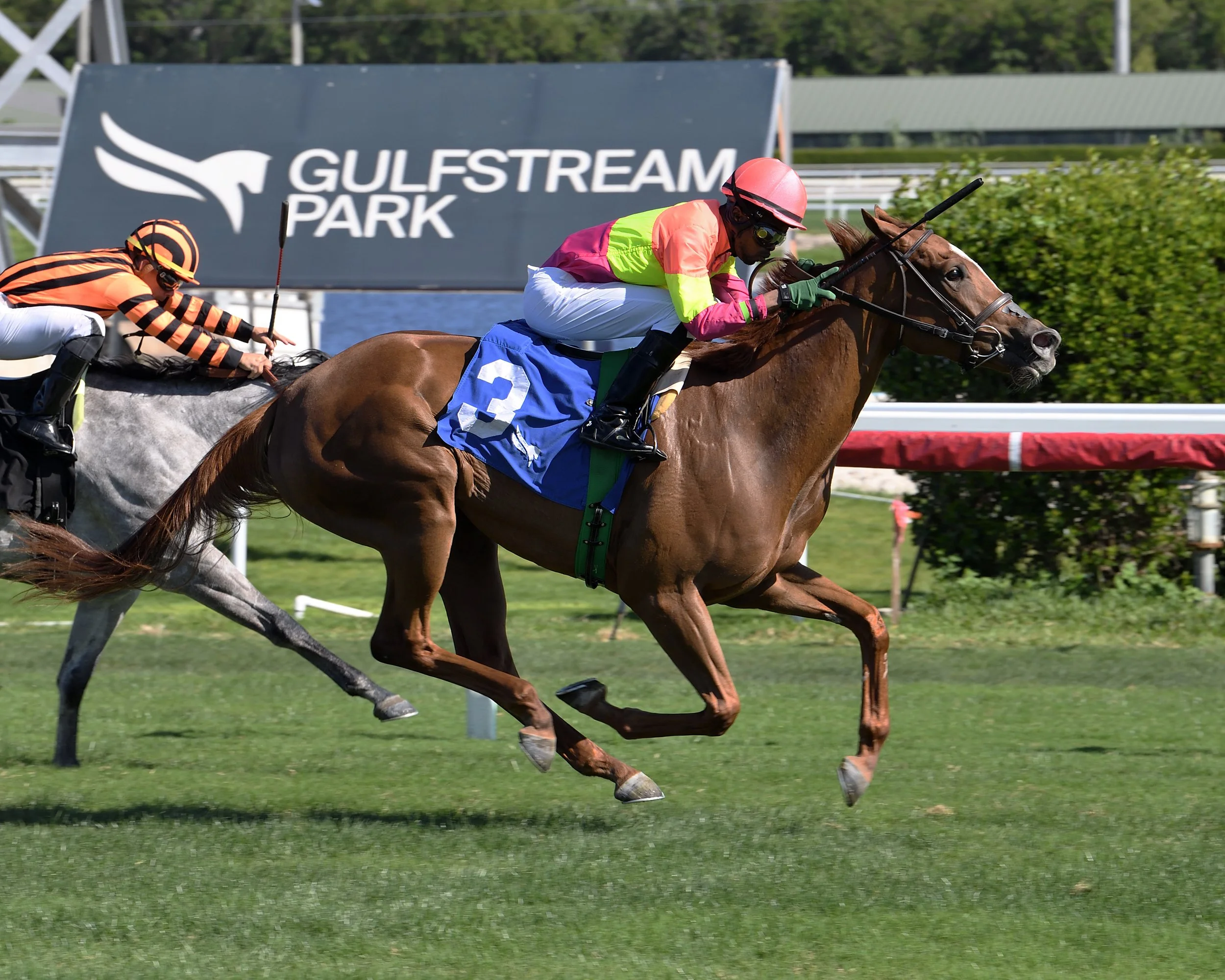 Homebred filly, FROZEN SOLID, cashes in first win of the year for ...