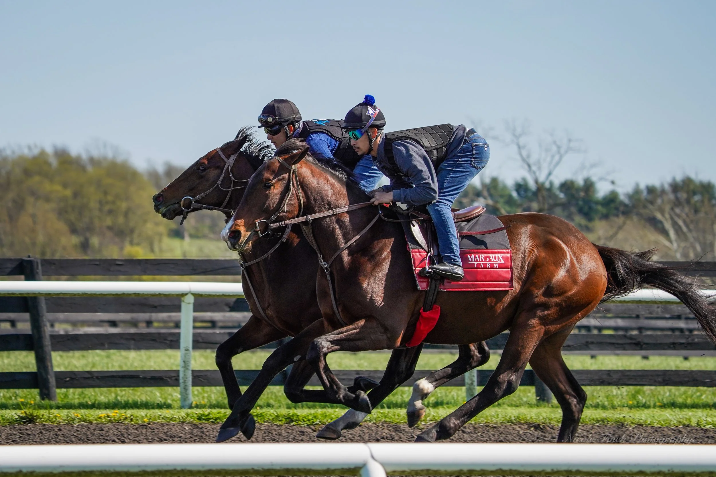 Hayes Strike takes the Texas Derby by a nose at Lone Star — Margaux Farm