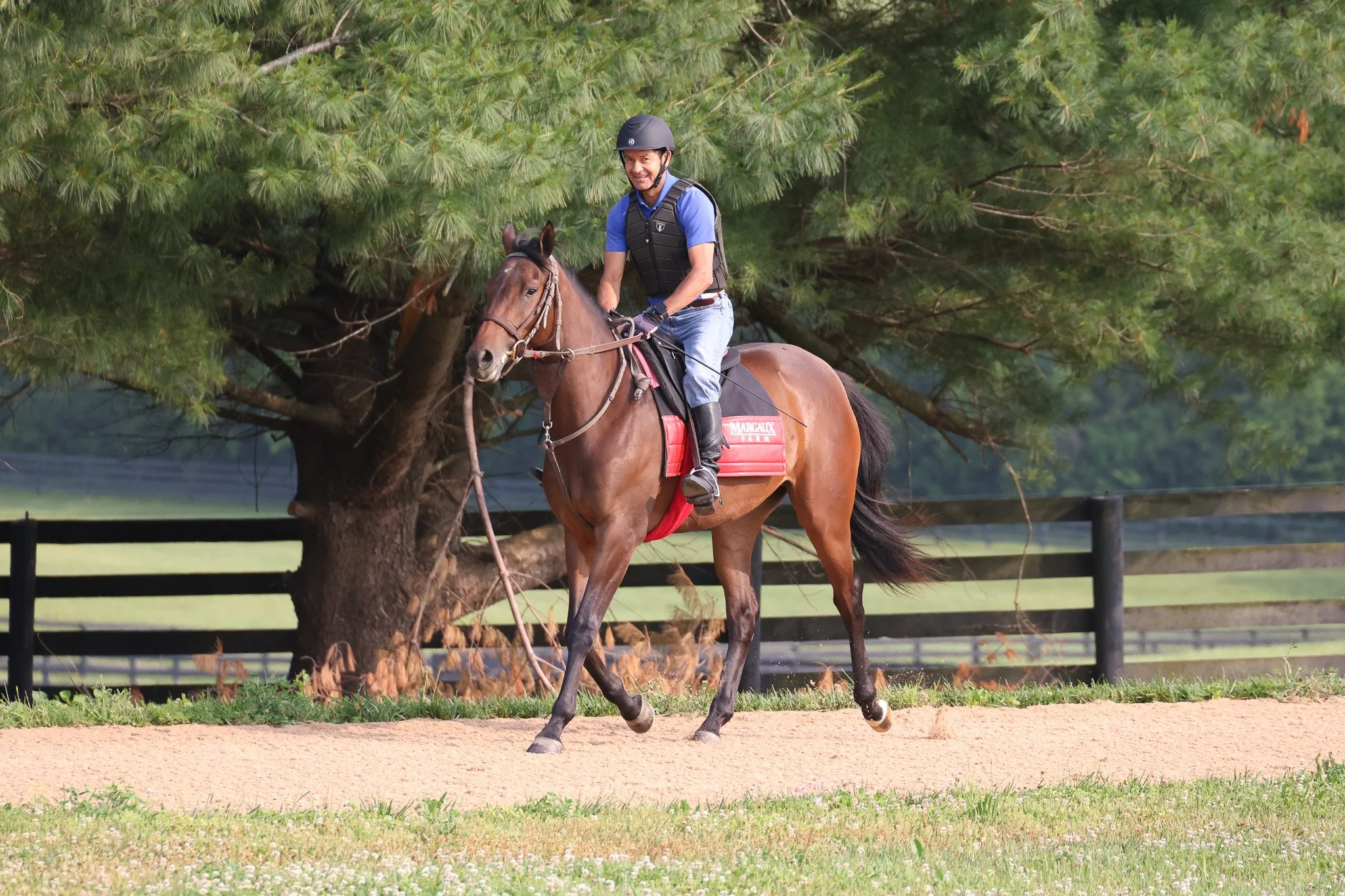 Rehab — Margaux Farm