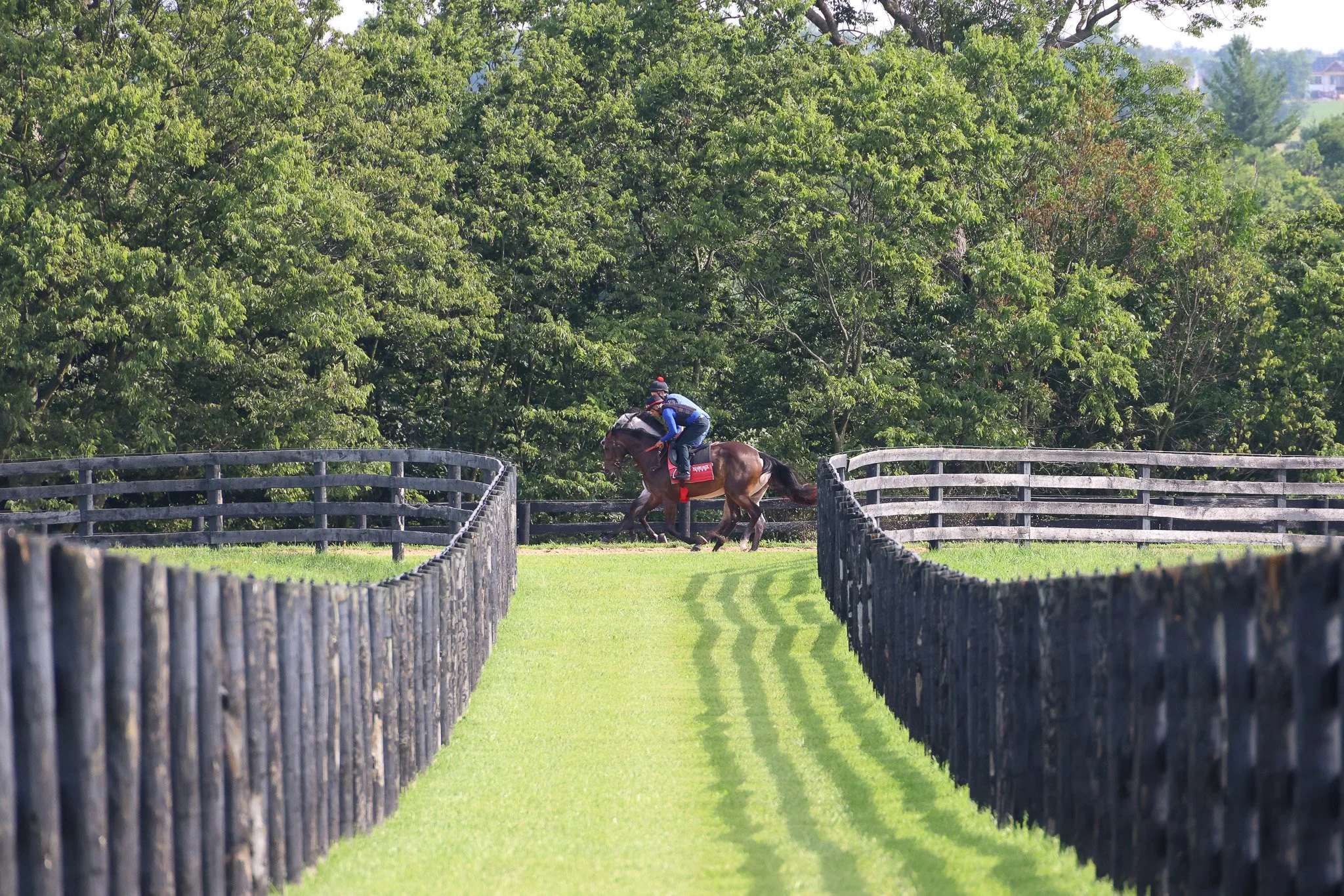 Farm — Margaux Farm