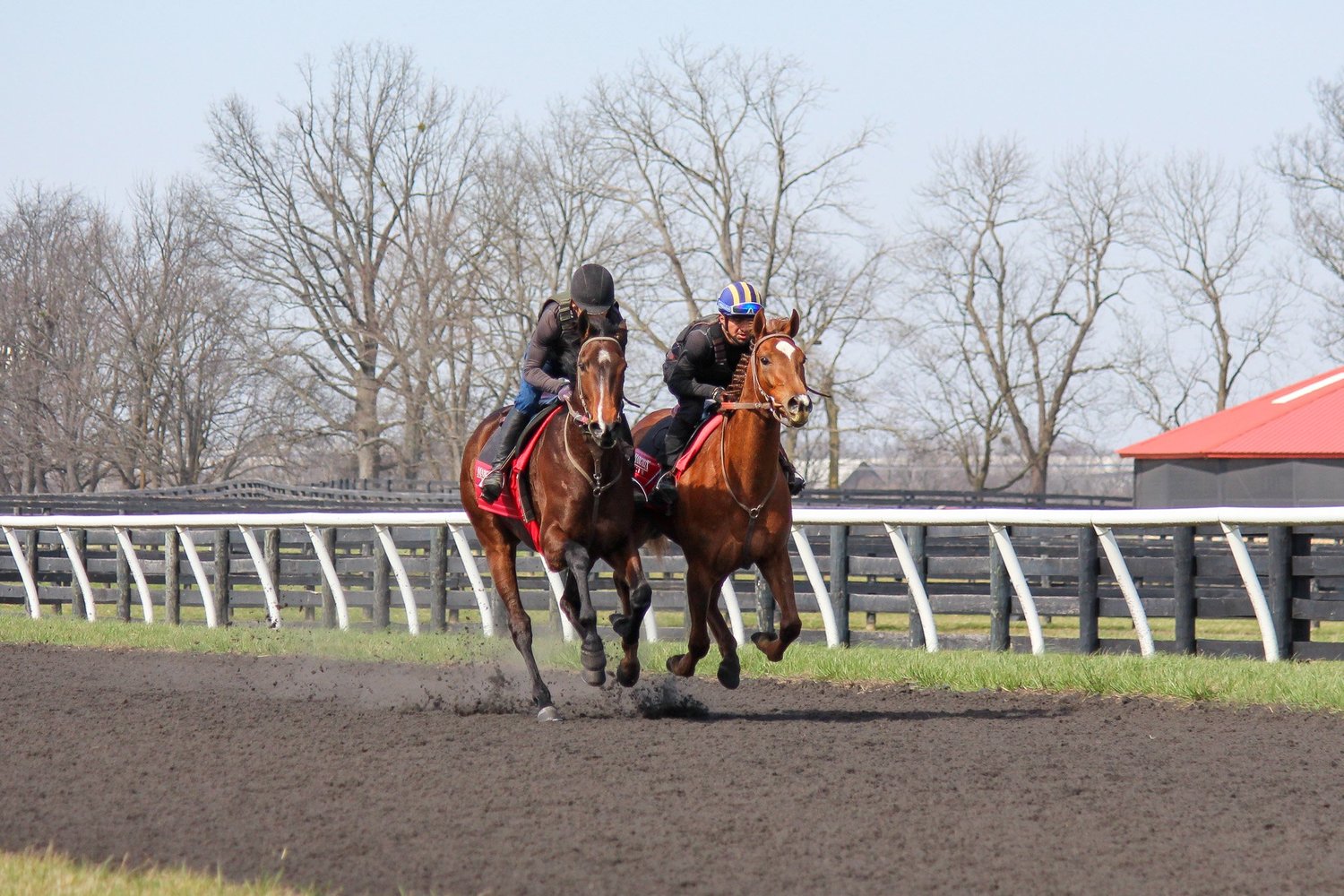 Starting — Margaux Farm