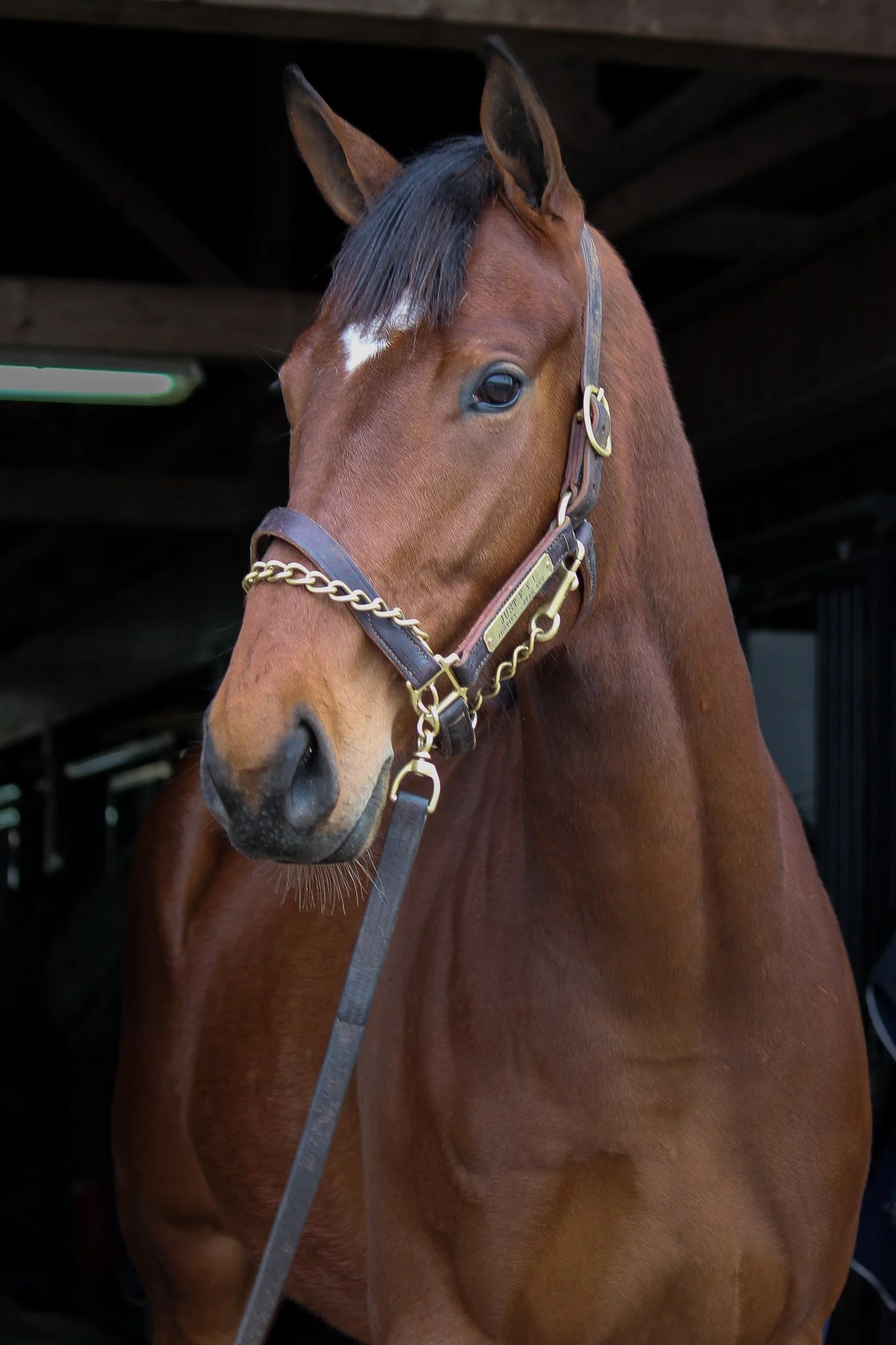 Just FYI races through the rain to capture the G1 Frizette Stakes ...