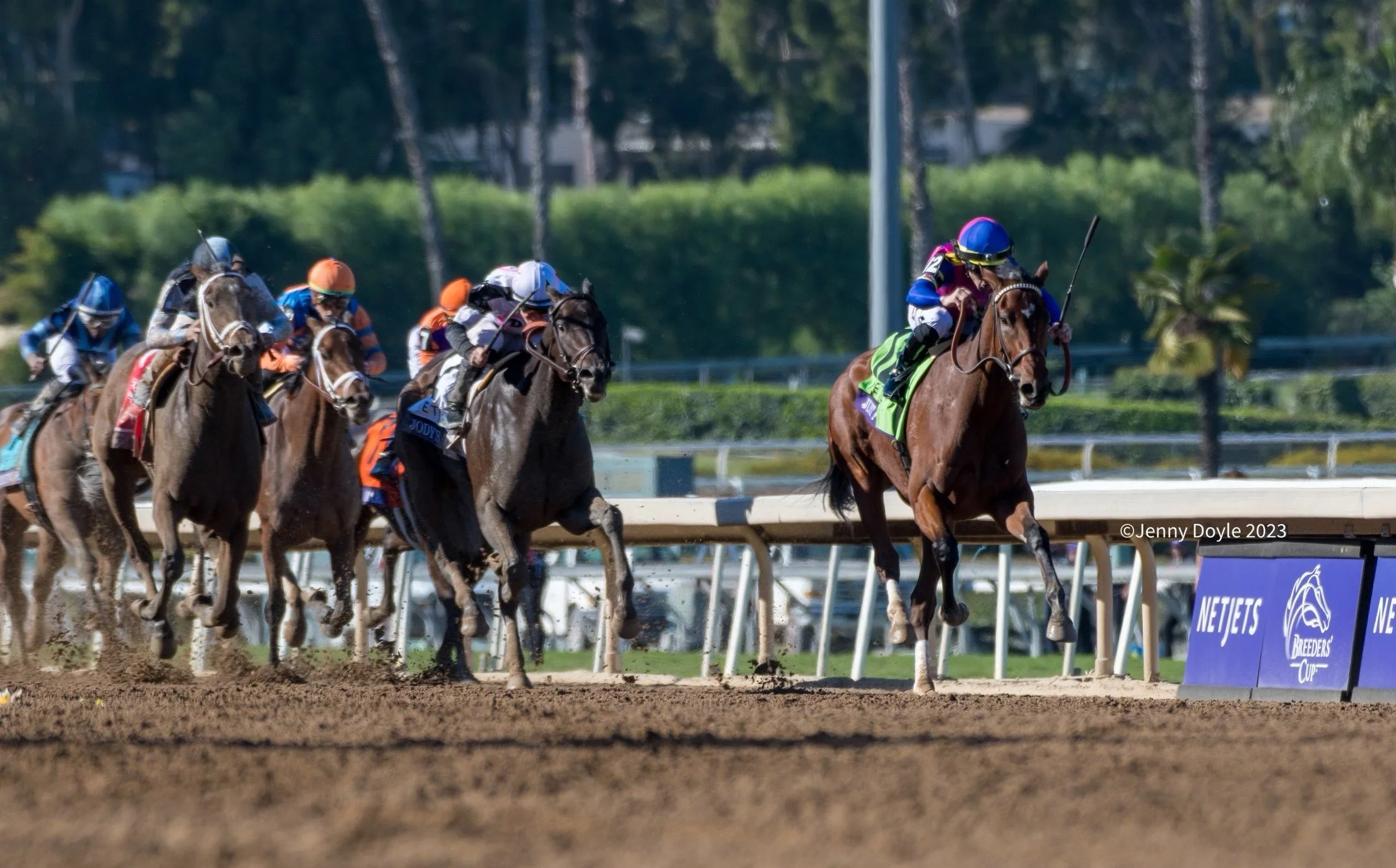 Krikorian's Homebred, Just F Y I, prevails in the Juvenile Fillies ...