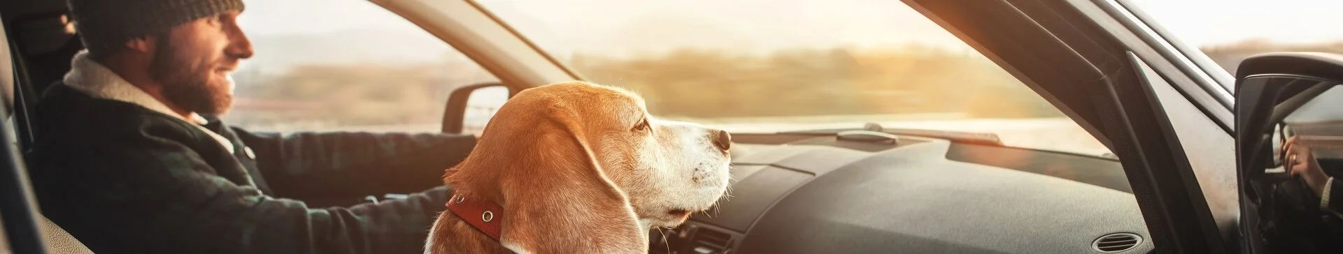 Defensive Driving 3 Demerit Reduction Course $99.95 - CayCan.ca