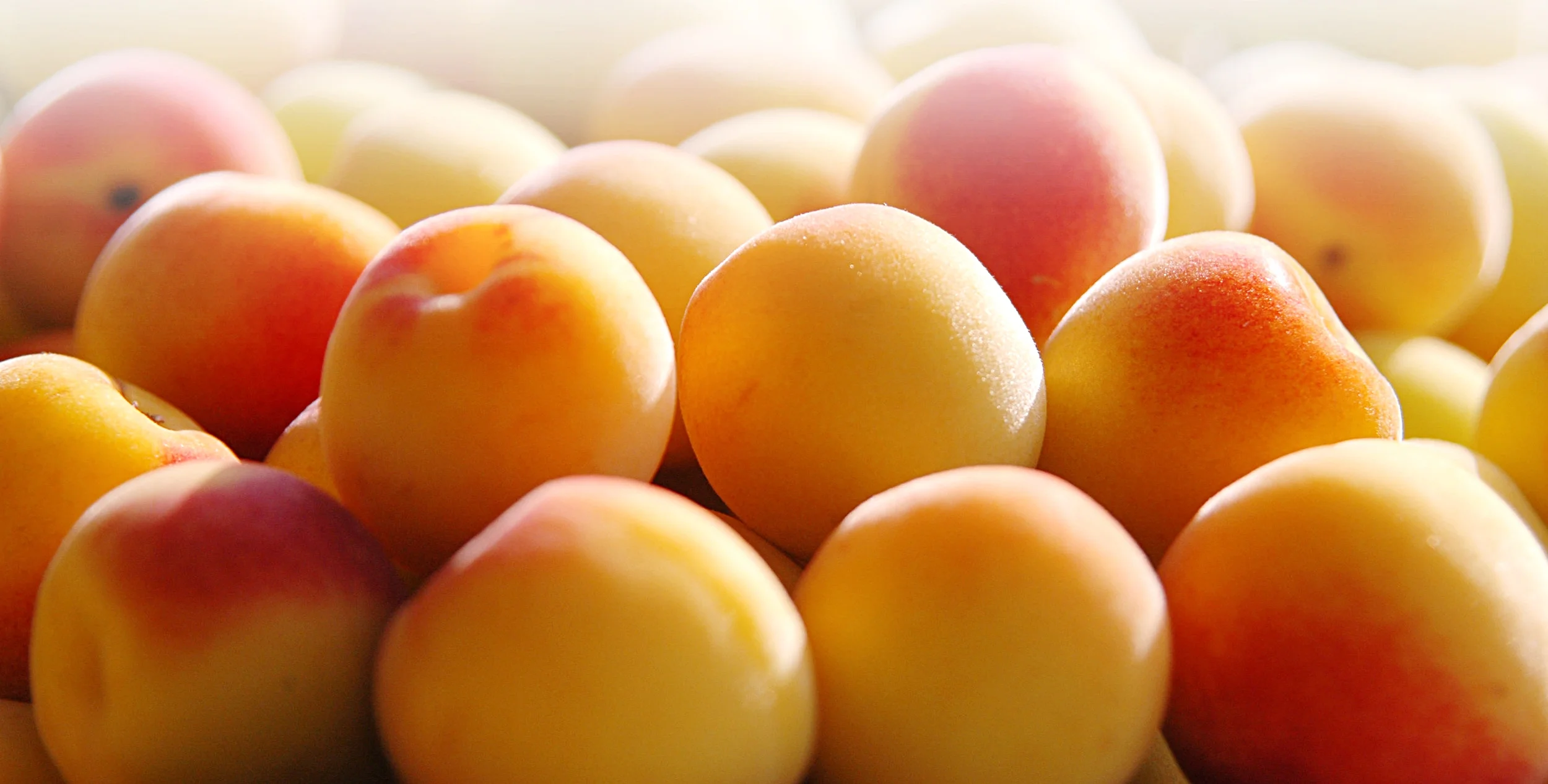 Learn about ume, Japan's historical health food — Nakata Foods Co., Ltd.