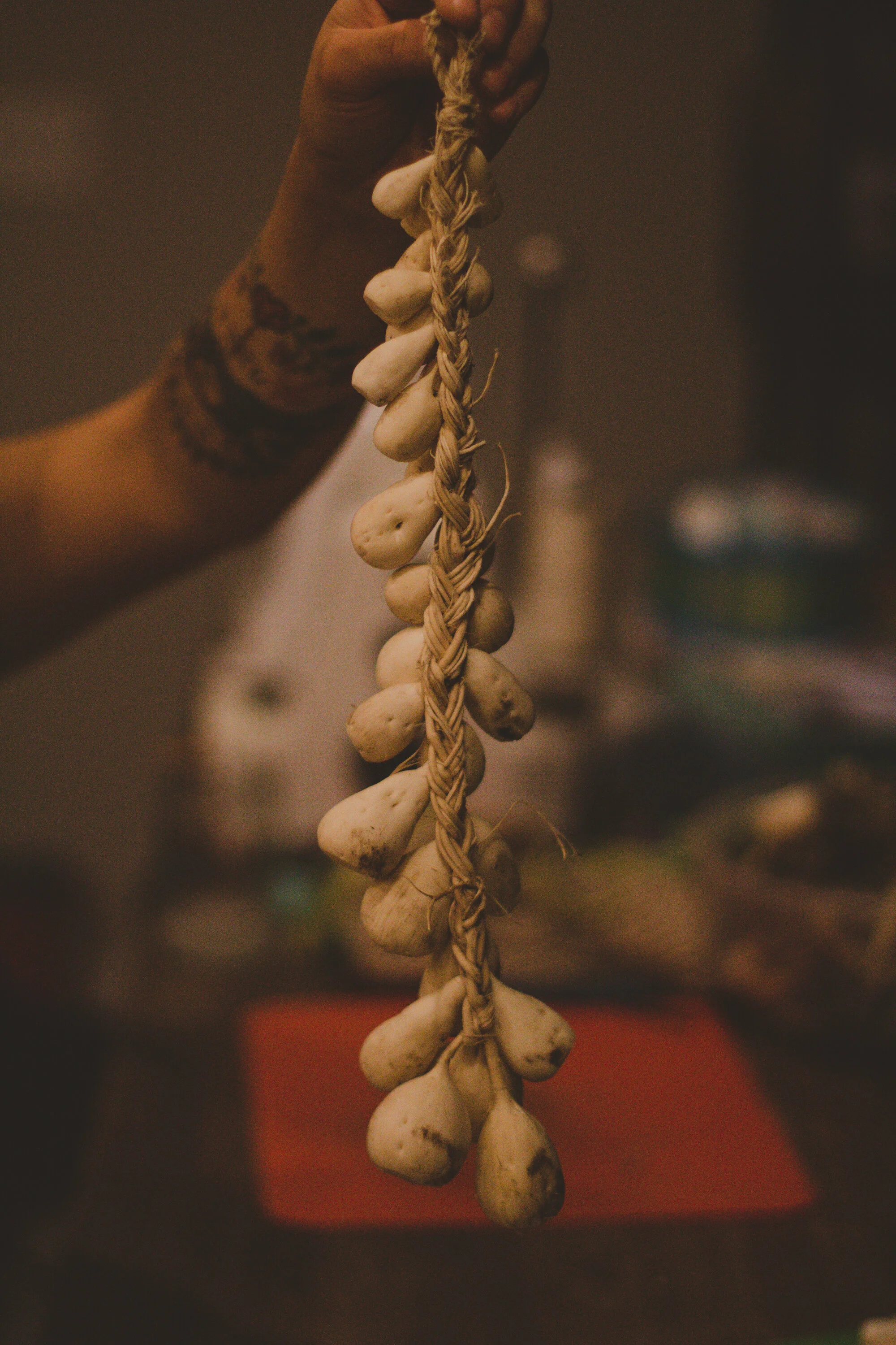 2020 Year in Pictures — INDIGENOUS PHOTOGRAPH