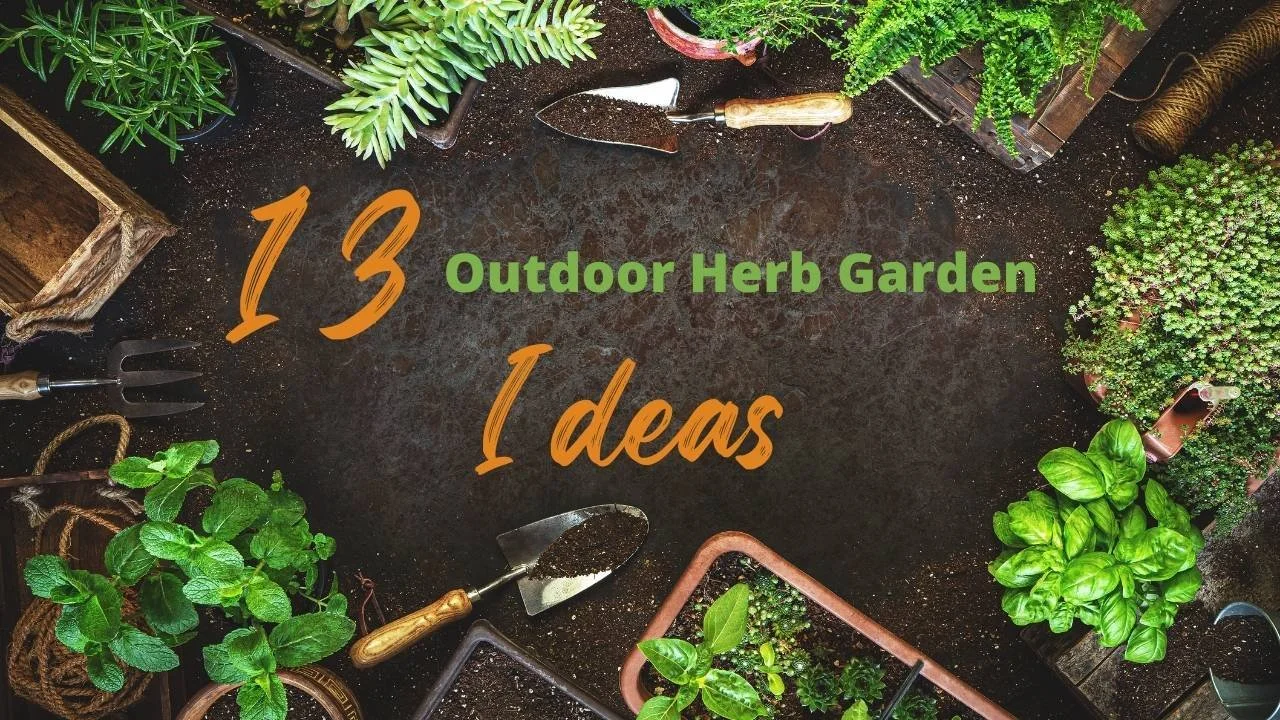 Cool Herb Garden Designs