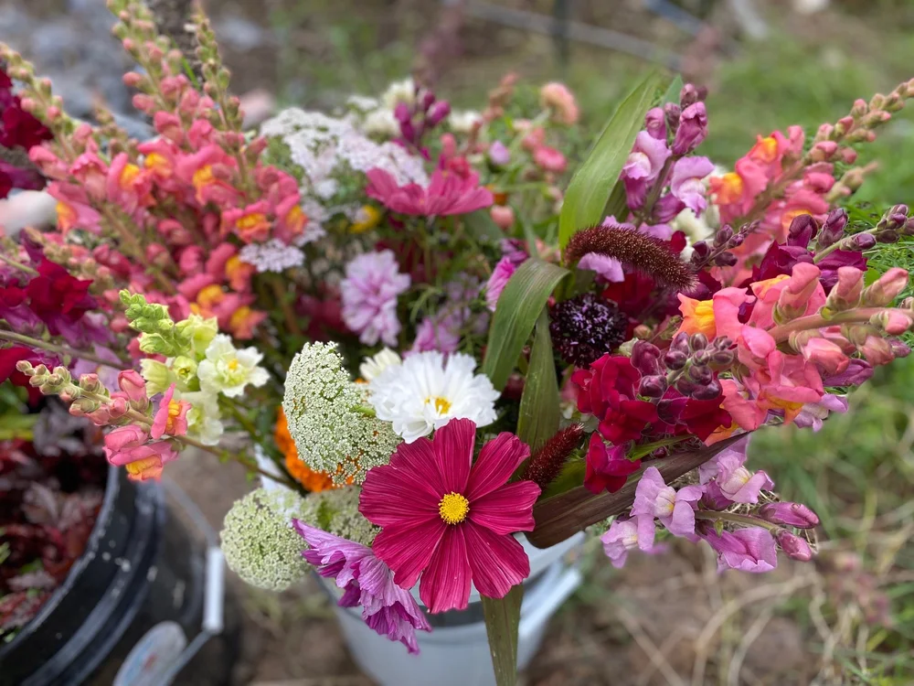 Behind the Scenes in my Week-of-wedding Schedule — Gardenwild Floral Design