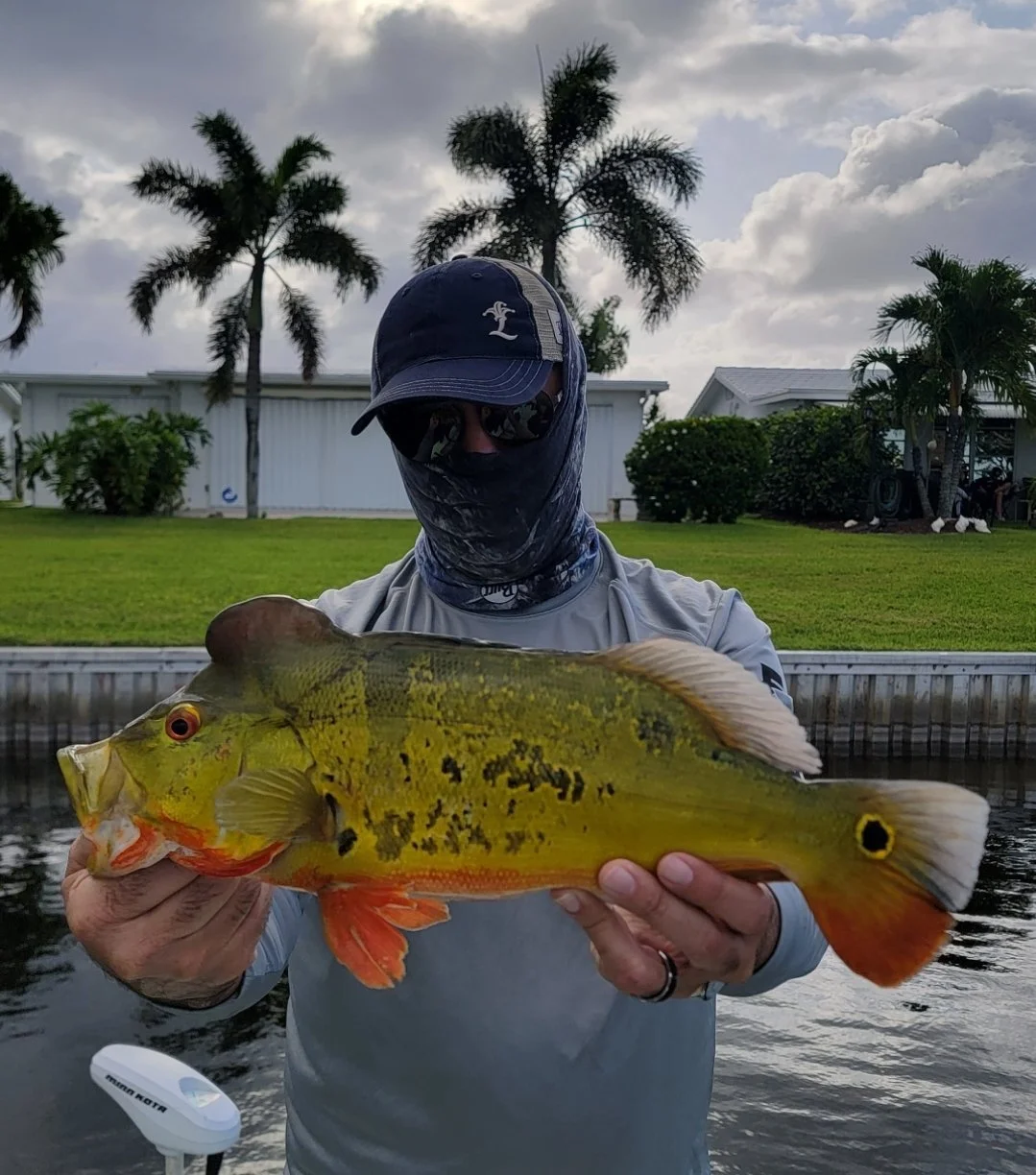 Oracle Expeditions Inshore Fly Fishing Light Tackle Charters Of Palm ...