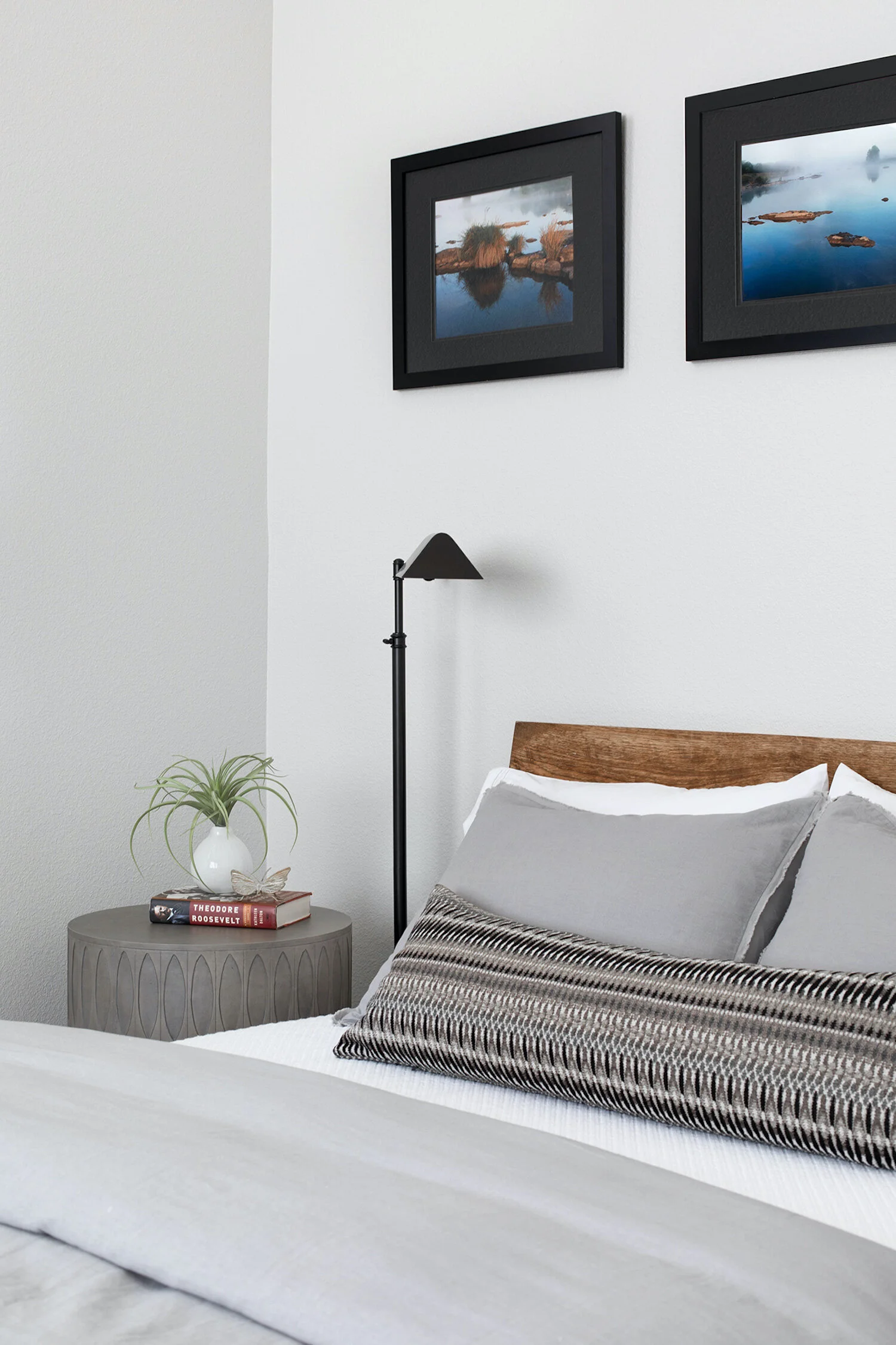 Agave Ranch Project — Blueberry Jones Design