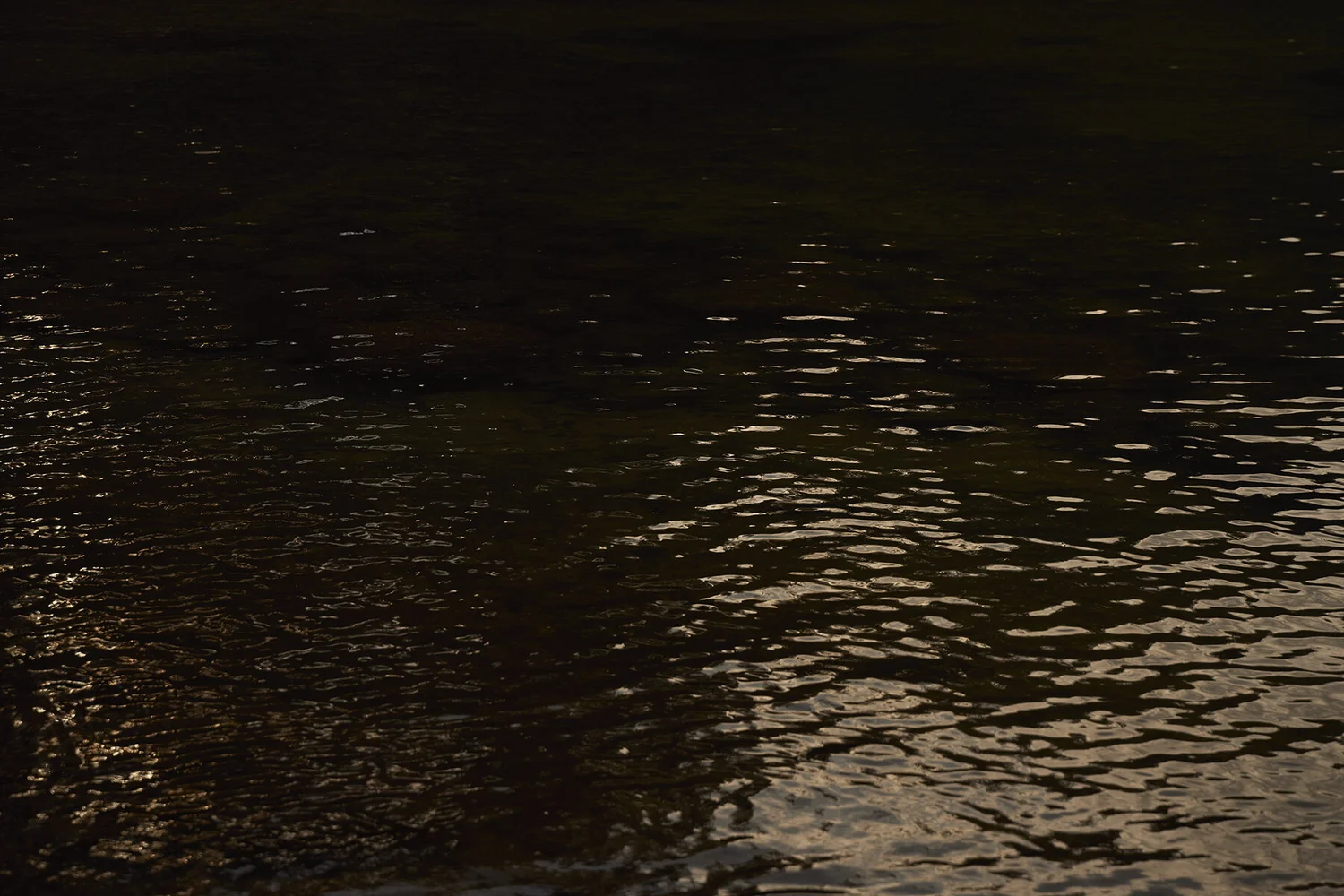 A windy day at Skåra — The Rakish Gent