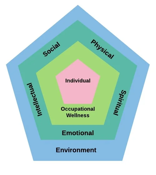 Social Change Agent Wellness Model — Social Justice Fatigue