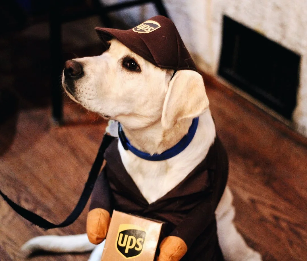 Was your UPS package stolen? Here’s what to do. — Prevent Package Theft ...
