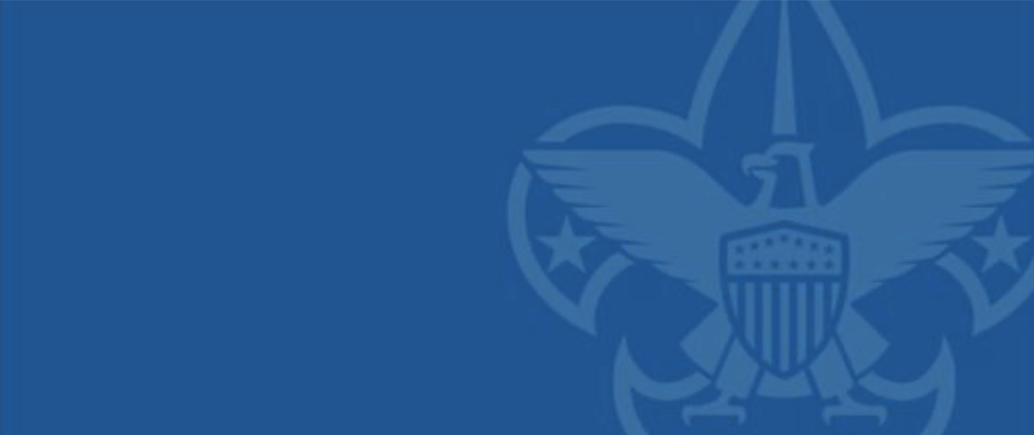 Eagle Scout Logo Png
