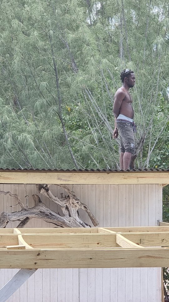 TREEHOUSE