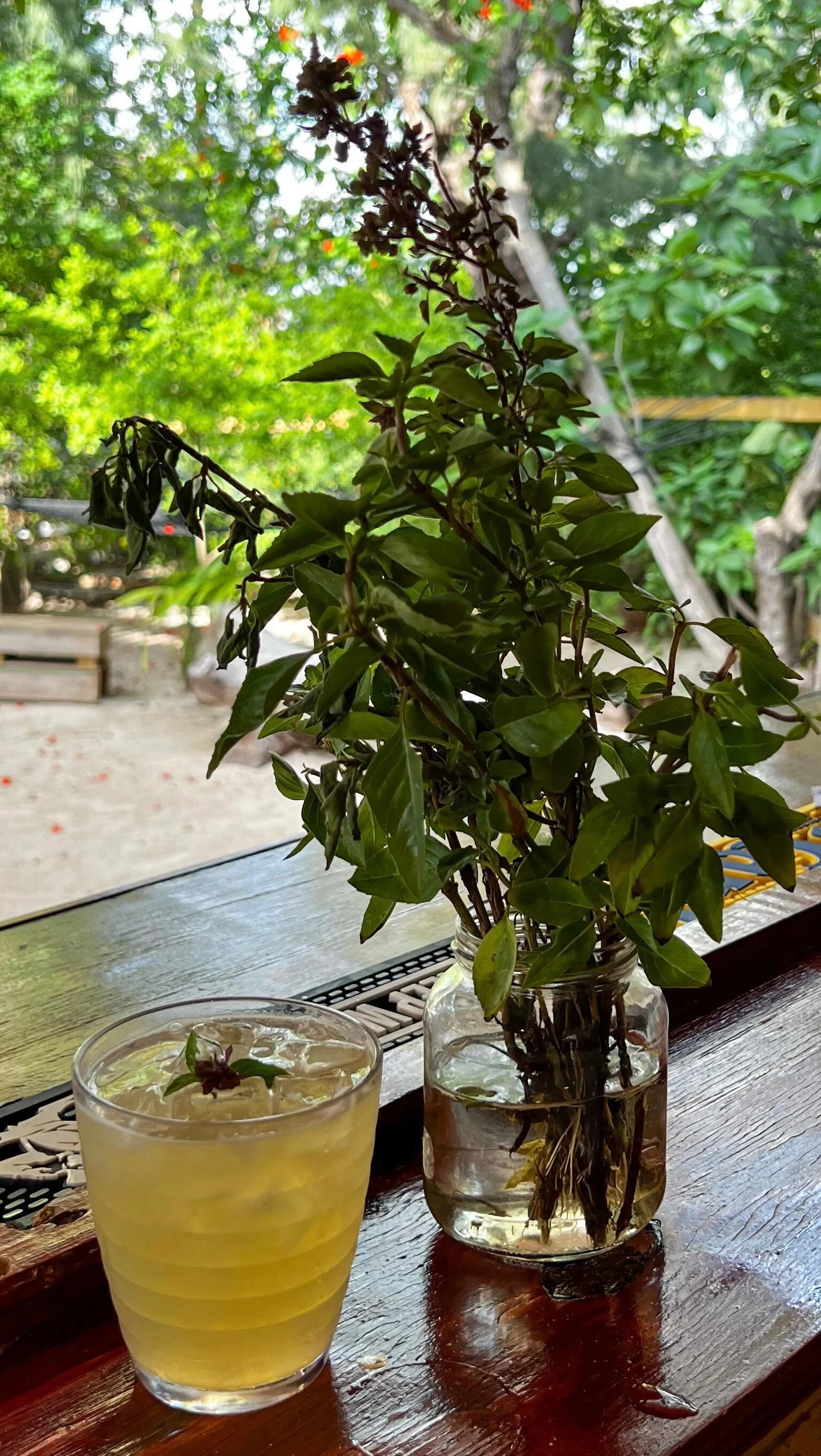 Home — Treehouse Beach Club