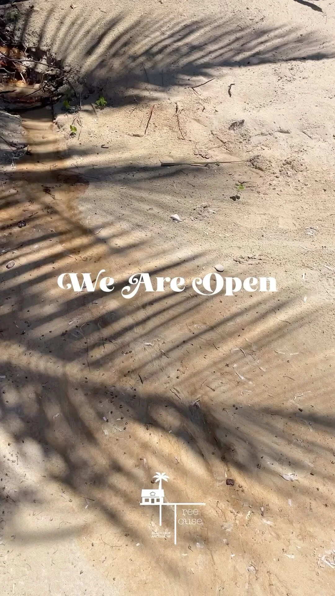 Make a reservation — Treehouse Beach Club