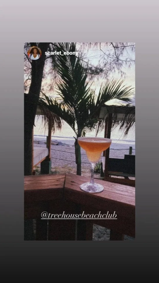 Make a reservation — Treehouse Beach Club