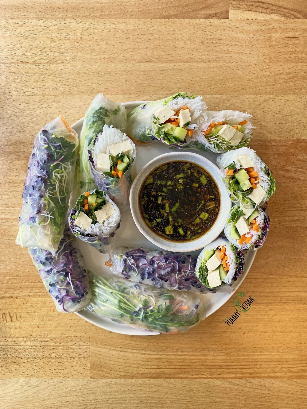 Fresh Sprout Summer Rolls — The Yummy Vegan