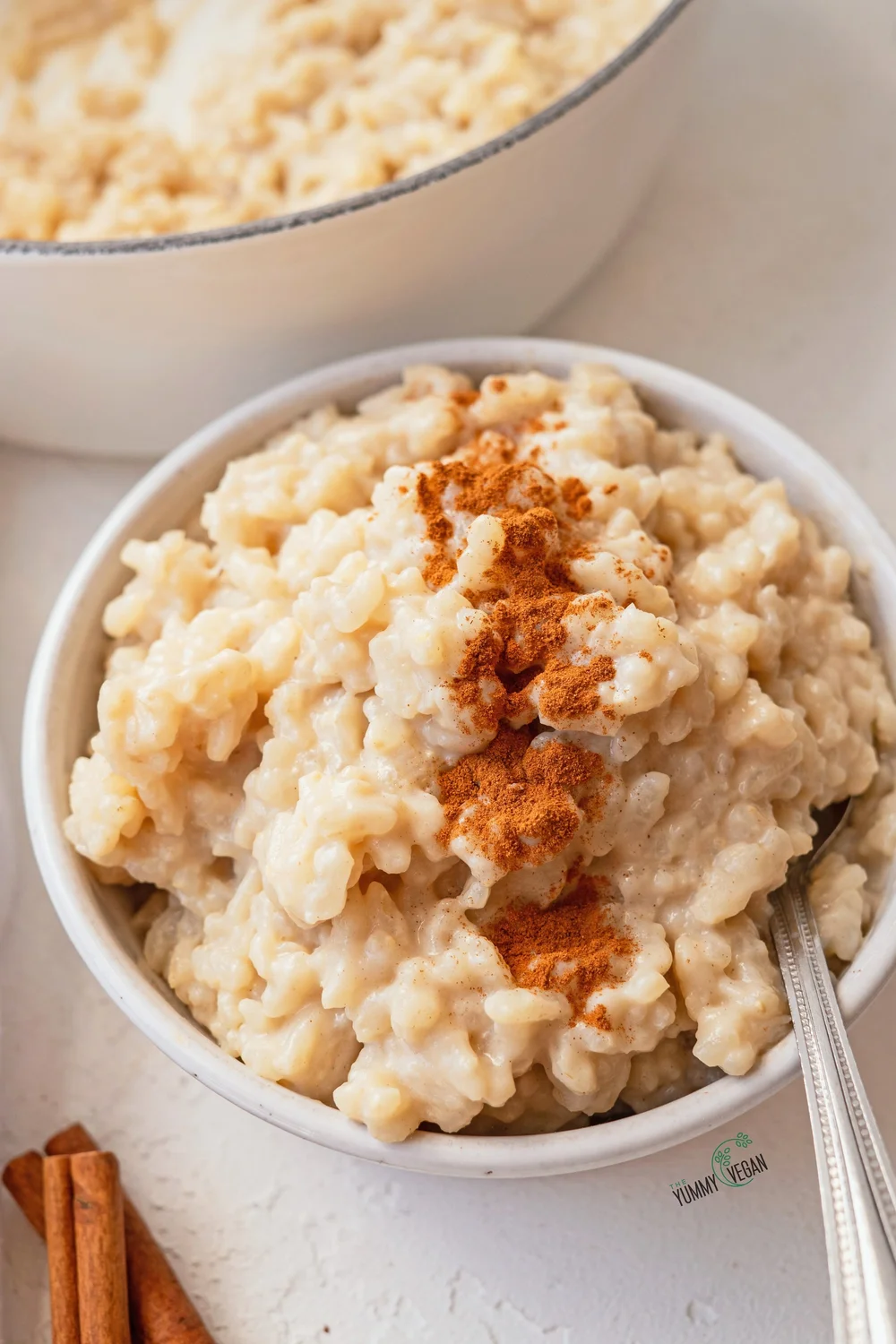 Vegan Horchata Rice Pudding — The Yummy Vegan
