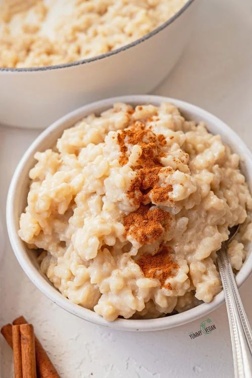Vegan Horchata Rice Pudding — The Yummy Vegan