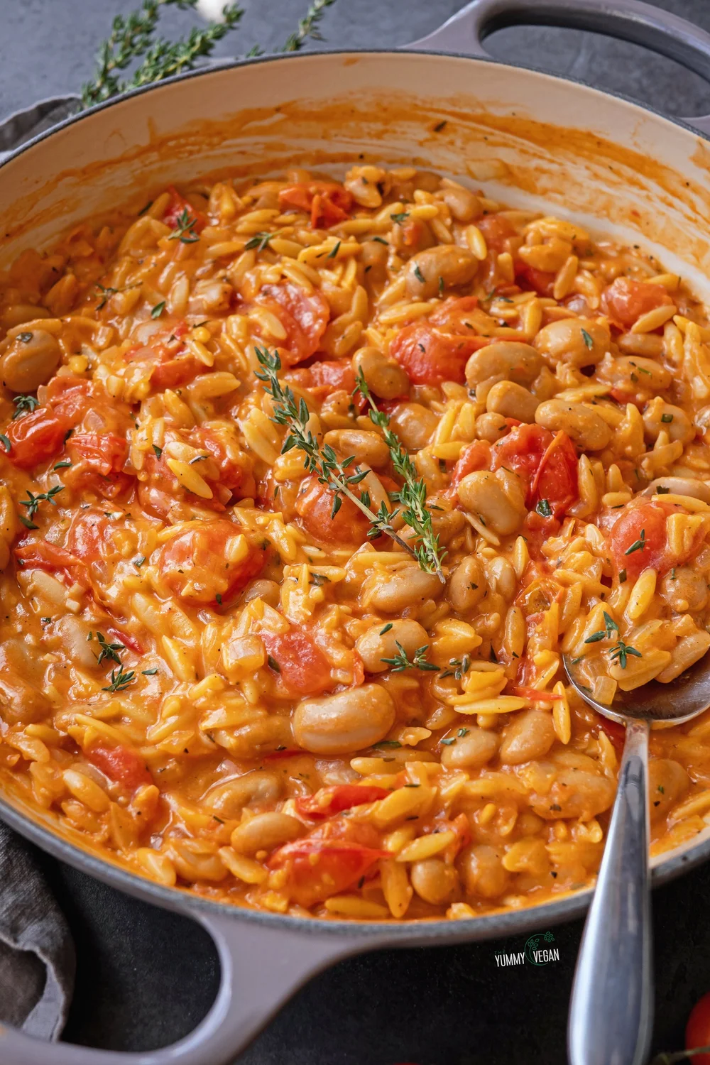 Creamy Tomato Orzo & Beans — The Yummy Vegan