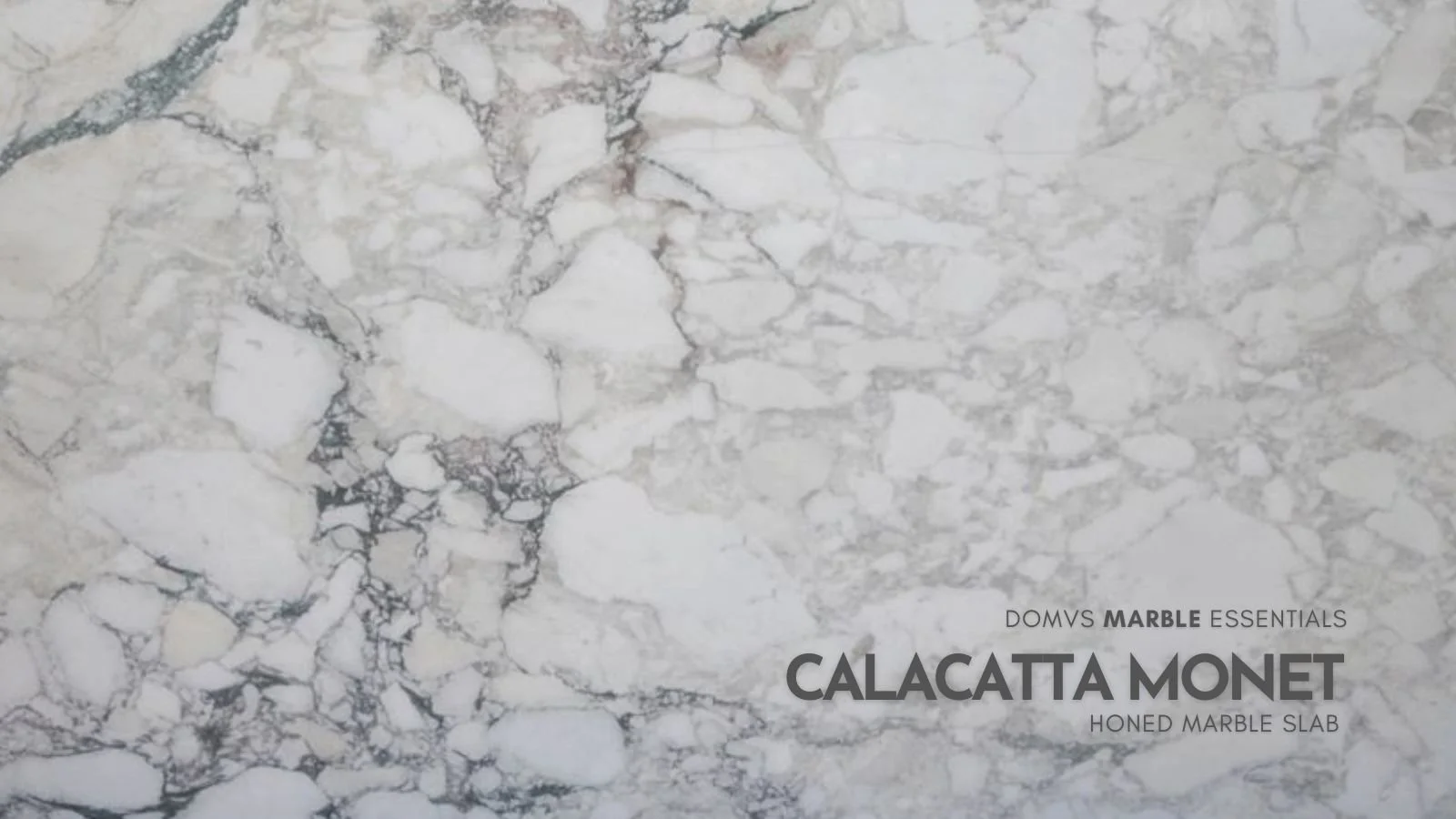 Calacatta Monet Marble Collection - In Stock Now. We Ship Nationwide ...