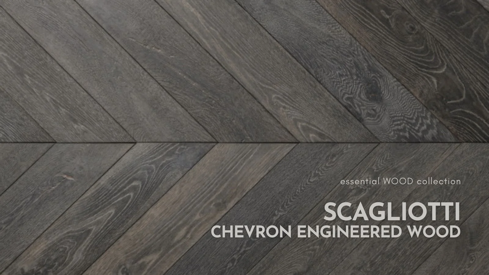 2023 Trending Materials — DOMVS Surfaces