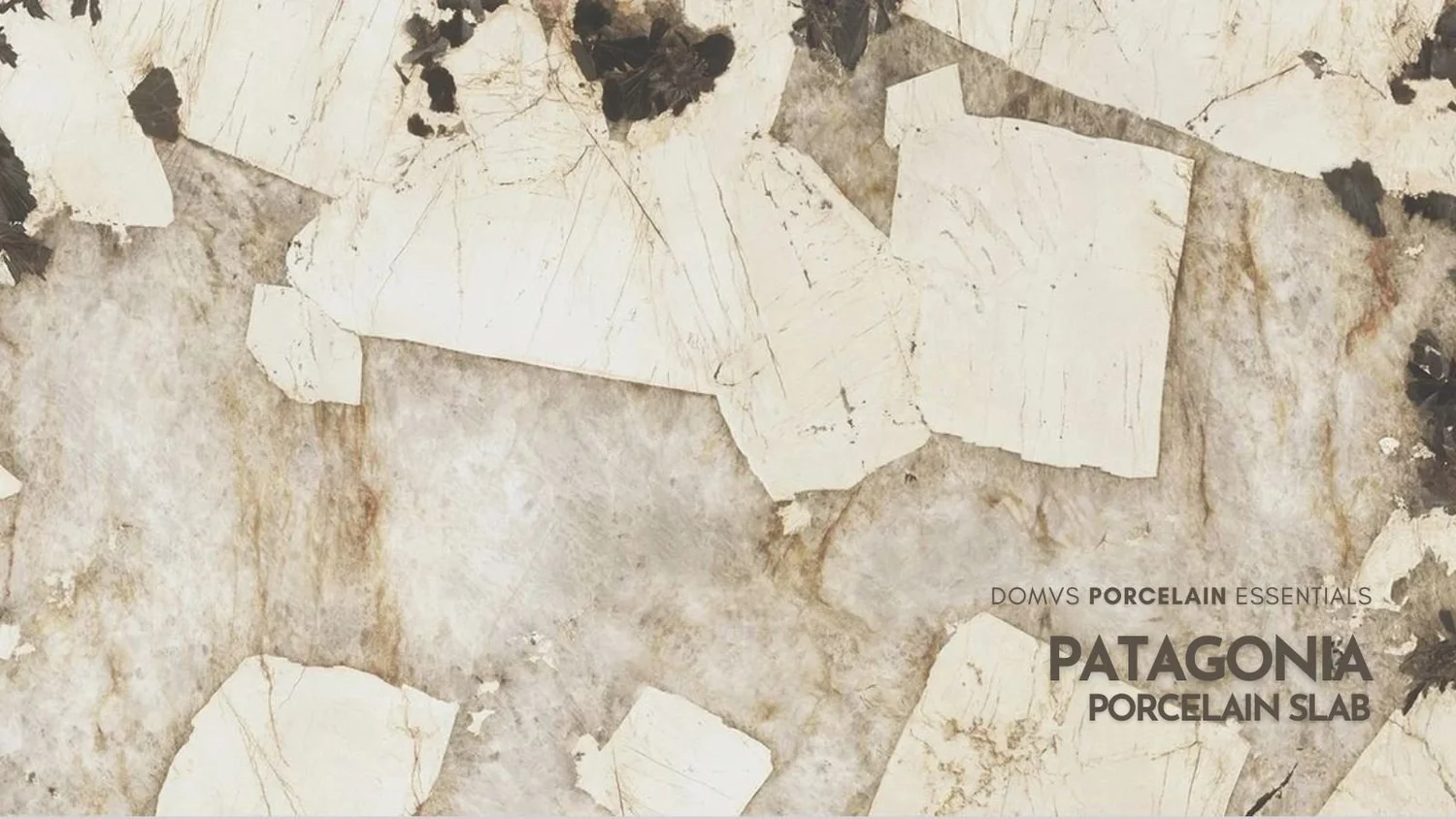 Porcelain Slabs Gallery — DOMVS Surfaces