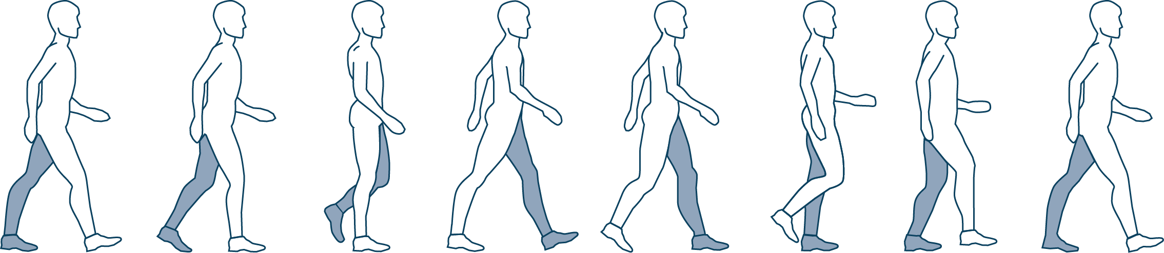 Lowers | Lower Limb Program