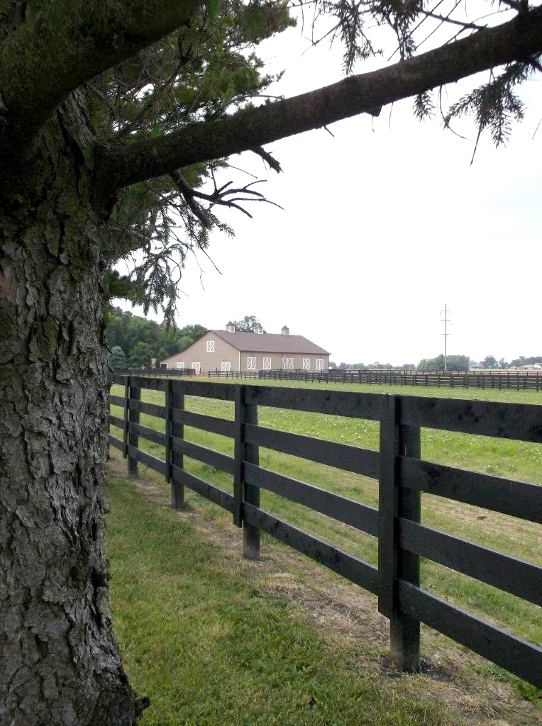 Gallery — The Ranch of Opportunity