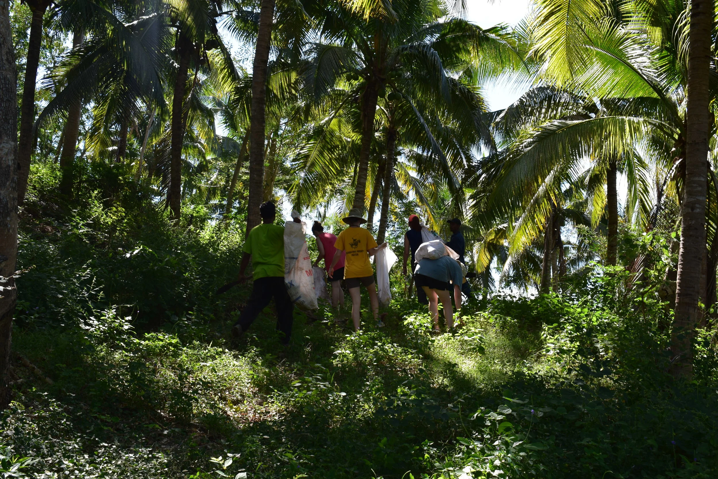 What to Expect — Cegu Valley Farm