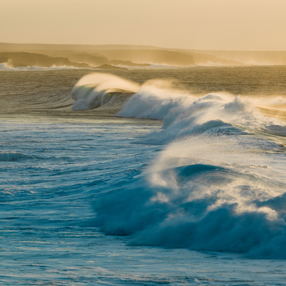 News & Releases — NextWave