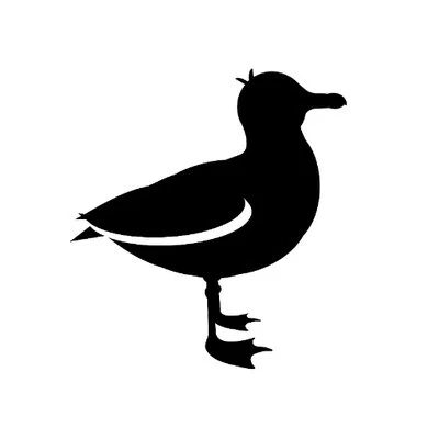 Brightstorm Introduction — Vashti Hardy Author